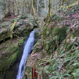 Chuckanut Falls, Washington - 626 Reviews, Map | AllTrails
