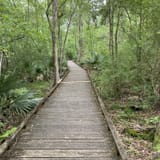 Moon Seed Loop, Louisiana - 371 Reviews, Map | AllTrails