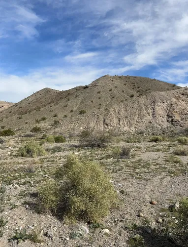 Best Hikes and Trails in Bullhead City | AllTrails