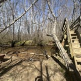 Pine Log Creek Trail, Georgia - 2,423 Reviews, Map | AllTrails