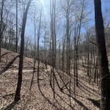 Pine Log Creek Trail, Georgia - 2,482 Reviews, Map | AllTrails