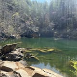 Pine Log Creek Trail, Georgia - 2,482 Reviews, Map | AllTrails