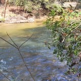 Cartecay River Loop Trail, Georgia - 2,021 Reviews, Map | AllTrails
