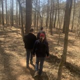 Harris Lake Peninsula Trail, North Carolina - 1,907 Reviews, Map ...