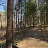 Colyer Lake Loop, Pennsylvania - 793 Reviews, Map | AllTrails
