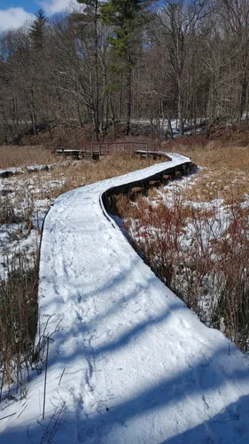 Best Forest Trails in Springwater Conservation Area | AllTrails