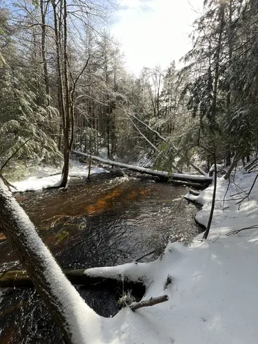 Best River Trails in Bear Brook State Park | AllTrails