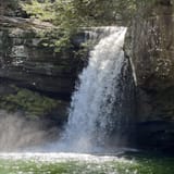 Savage Falls, Tennessee - 783 Reviews, Map | AllTrails