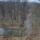 Martell Forest Loop, Indiana - 572 Reviews, Map | AllTrails