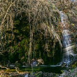 Gorman Falls Trail, Texas - 1,093 Reviews, Map | AllTrails