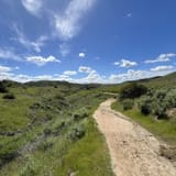 Weir Canyon Trail, California - 3,259 Reviews, Map | AllTrails