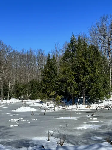 Best Hikes and Trails in Zoar Valley Multiple Use Area | AllTrails