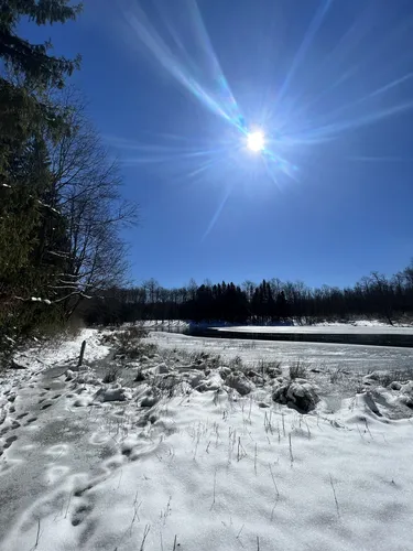 Best Hikes and Trails in Zoar Valley Multiple Use Area | AllTrails