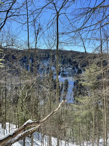 Best Hikes and Trails in Zoar Valley Multiple Use Area | AllTrails