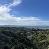 Hollyridge Trail to Hollywood Sign Viewpoint, California - 5,095 ...