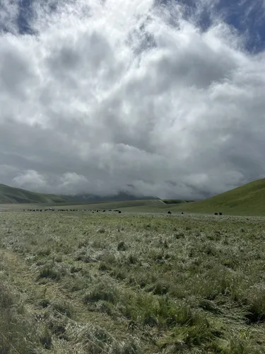 Best Moderate Trails in Wind Wolves Preserve | AllTrails