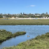 Back Bay Loop, California - 1,755 Reviews, Map | AllTrails