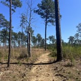 Firebreak Trail, South Carolina - 1,566 Reviews, Map | AllTrails