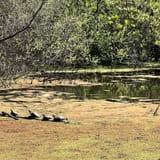 Spring Lake Loop, California - 1,611 Reviews, Map | AllTrails
