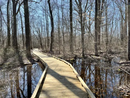 Best Hikes and Trails in Great Swamp National Wildlife Refuge | AllTrails