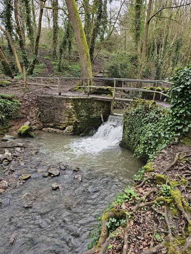 Best Hikes and Trails in Blaise Castle Estate | AllTrails