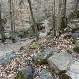 Pigeon Roost Trail, Arkansas - 961 Reviews, Map | AllTrails