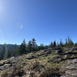 Wesley Ridge, British Columbia, Canada - 776 Reviews, Map | AllTrails