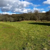Savernake Forest Circular, Wiltshire, England - 126 Reviews, Map ...