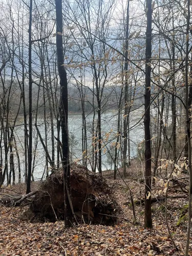 Best Hikes and Trails in Big Ridge State Park | AllTrails