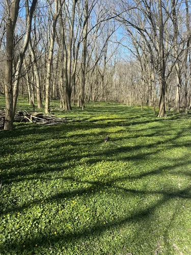 Best Walking Trails in Lockbourne | AllTrails