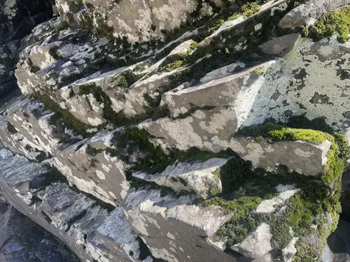 Best Hikes and Trails in Lockatong Wildlife Management Area | AllTrails