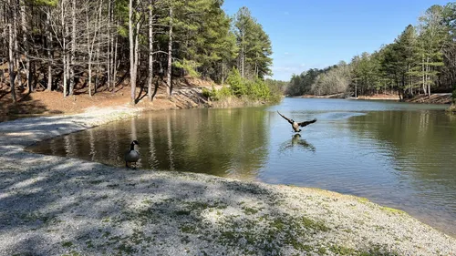 Best Hikes and Trails in Minooka Park | AllTrails