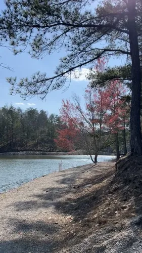 Best Hikes and Trails in Minooka Park | AllTrails