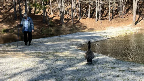 Best Hikes and Trails in Minooka Park | AllTrails