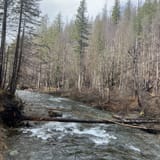 Siouxon Trail: Upper Siouxon Trailhead, Washington - 255 Reviews, Map ...