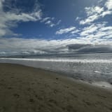 Damon Point State Park Trail, Washington - 513 Reviews, Map | AllTrails