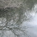 Reach 11 Barrier Free Nature Trail, Arizona - 667 Reviews, Map | AllTrails