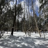 Severance Mountain, New York - 904 Reviews, Map | AllTrails