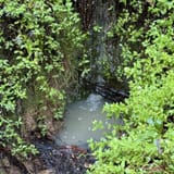 Crystal Springs and Dean Trail, California - 5,086 Reviews, Map | AllTrails