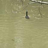Augusta Canal National Heritage Area Trail, Georgia - 852 Reviews, Map ...