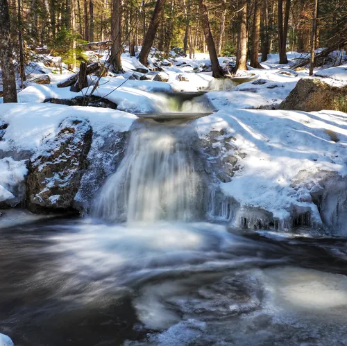 Best Moderate Trails in Prevost | AllTrails