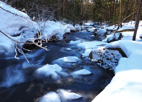 Best Moderate Trails in Prevost | AllTrails