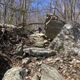 Pinnacle via Blue Rocks Campground Trail, Pennsylvania - 219 Reviews ...