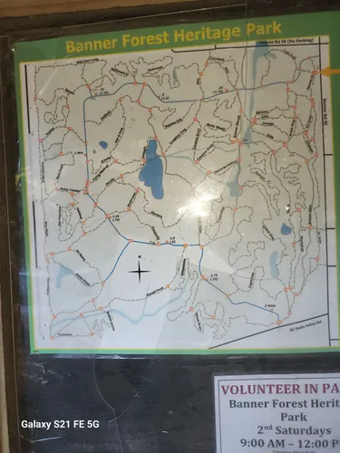 Best Hikes and Trails in Banner Forest Heritage Park | AllTrails