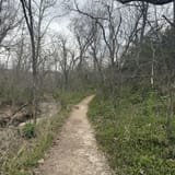 Tanyard Perimeter Loop, Arkansas - 2,602 Reviews, Map | AllTrails