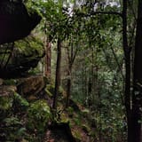 Numantia Falls, New South Wales, Australia - 105 Reviews, Map | AllTrails