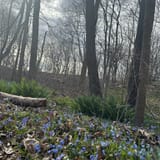 Jerry E. Clegg Botanical Garden, Indiana - 223 Reviews, Map | AllTrails