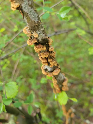 Best Hikes and Trails in Yellow Point Park | AllTrails