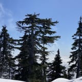 Mount Fromme via St. Georges Trail, British Columbia, Canada - 1,264 ...