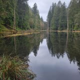 Yellow Point Bog Ecological Reserve and Yellow Point Park Loop, British ...